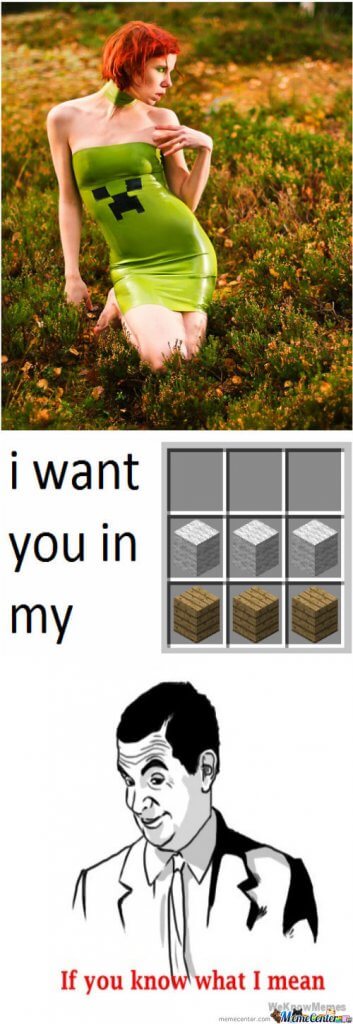 101 Funniest Minecraft Memes: 2025 Update