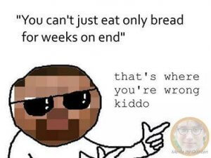 101 Funniest Minecraft Memes: 2025 Update