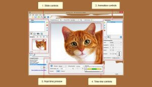 Top 2D Animation Software (Free & Paid)